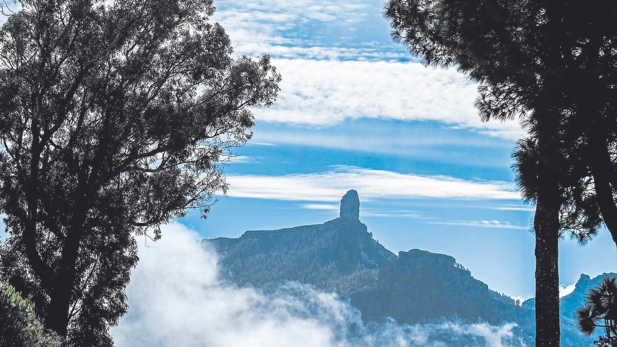 El agua mineral con poderes curativos que mana en el Parque Rural del Nublo