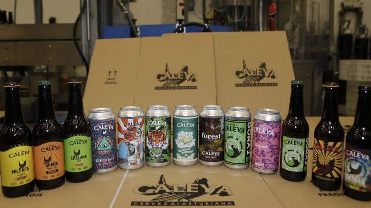 Caleya, la cerveza artesanal que llega a bares y supermercados de toda ...