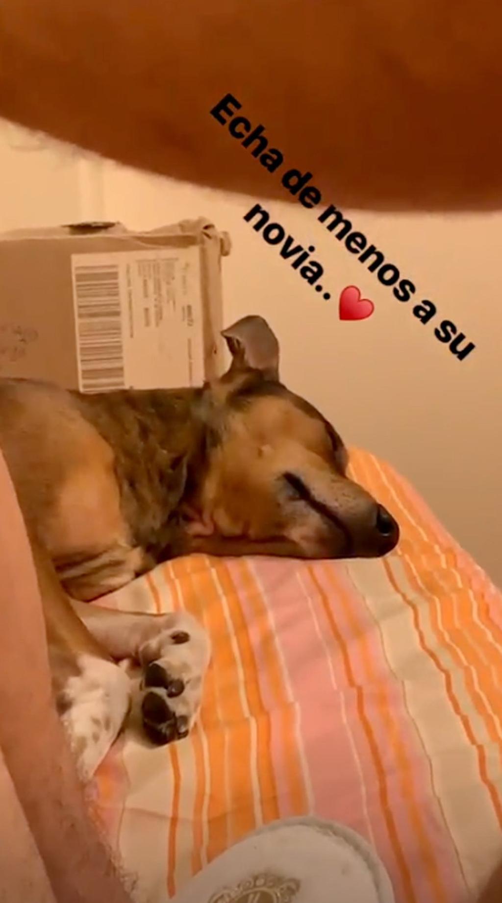 Cuando el 'Río' suena... Miguel Herrán y Sandra Escacena 'chuleo ...