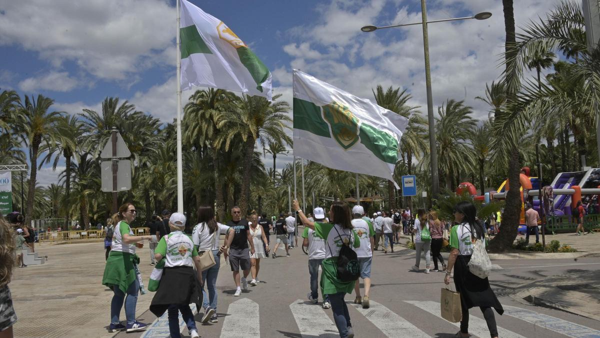 El Elche convoca su “Fan Zone” este sábado al mediodía - Información