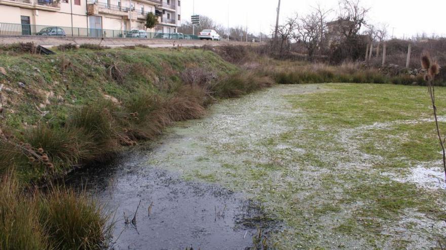La retirada del vertido de aceite en Mombuey ha costado 4.000 euros