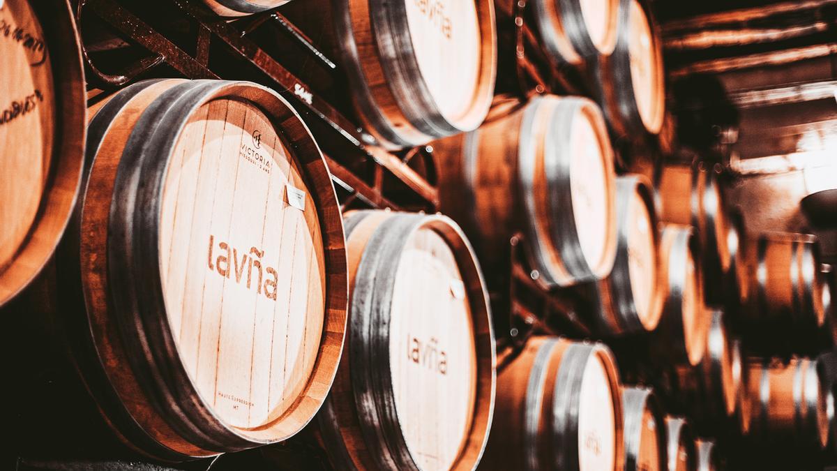 VINOS VALENCIA: La gama Icono estrena su vino más urban