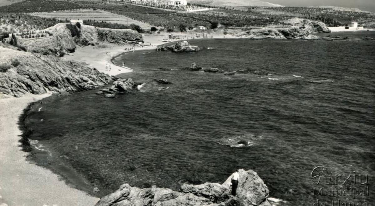 CARTA LECTOR EMPORDÀ | "El problema no és la pineda de la Farella de ...