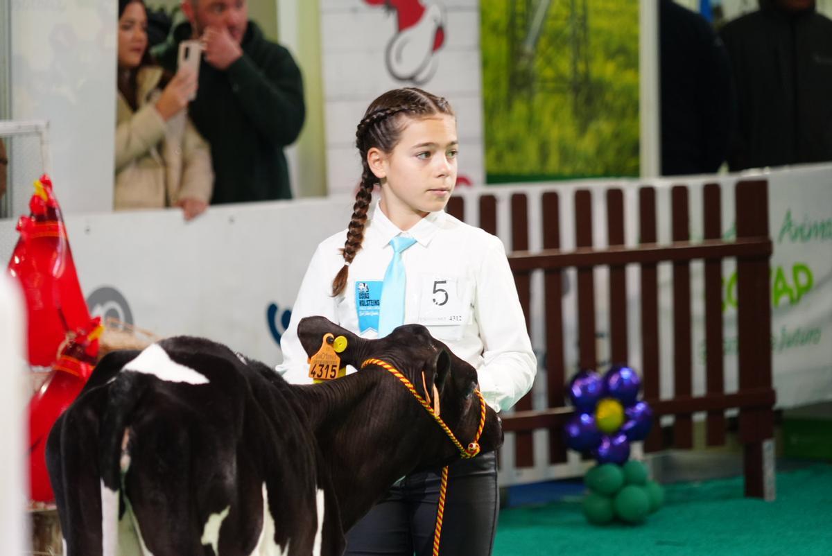 El Concurso Morfológico 'Usías Holstein' de terneras y novillas de Dos ...