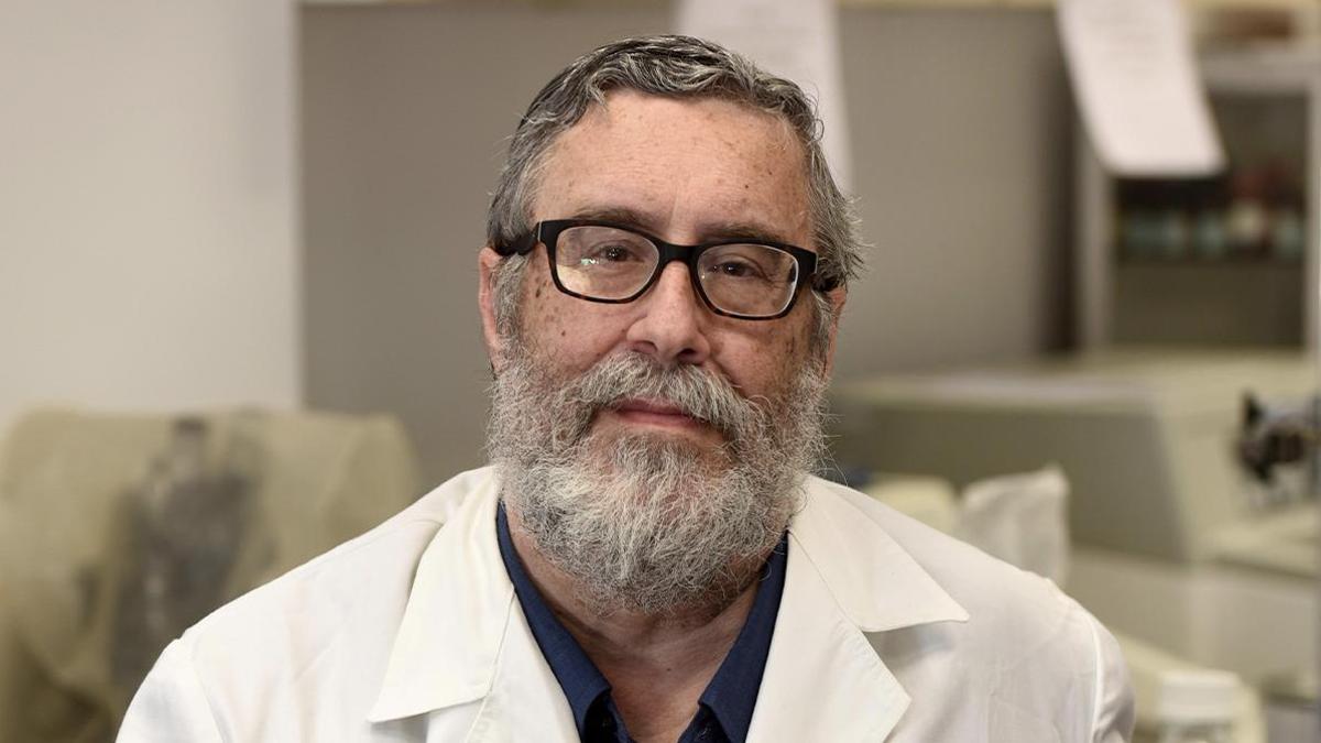 HONORIS CAUSA ELCHE | La UMH de Elche investirá Doctor Honoris Causa al anatomista Luis Puelles ...