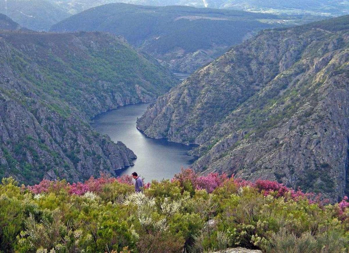 CATAMARÁN RIBEIRA SACRA: A la venta los billetes de los cañones del río Sil