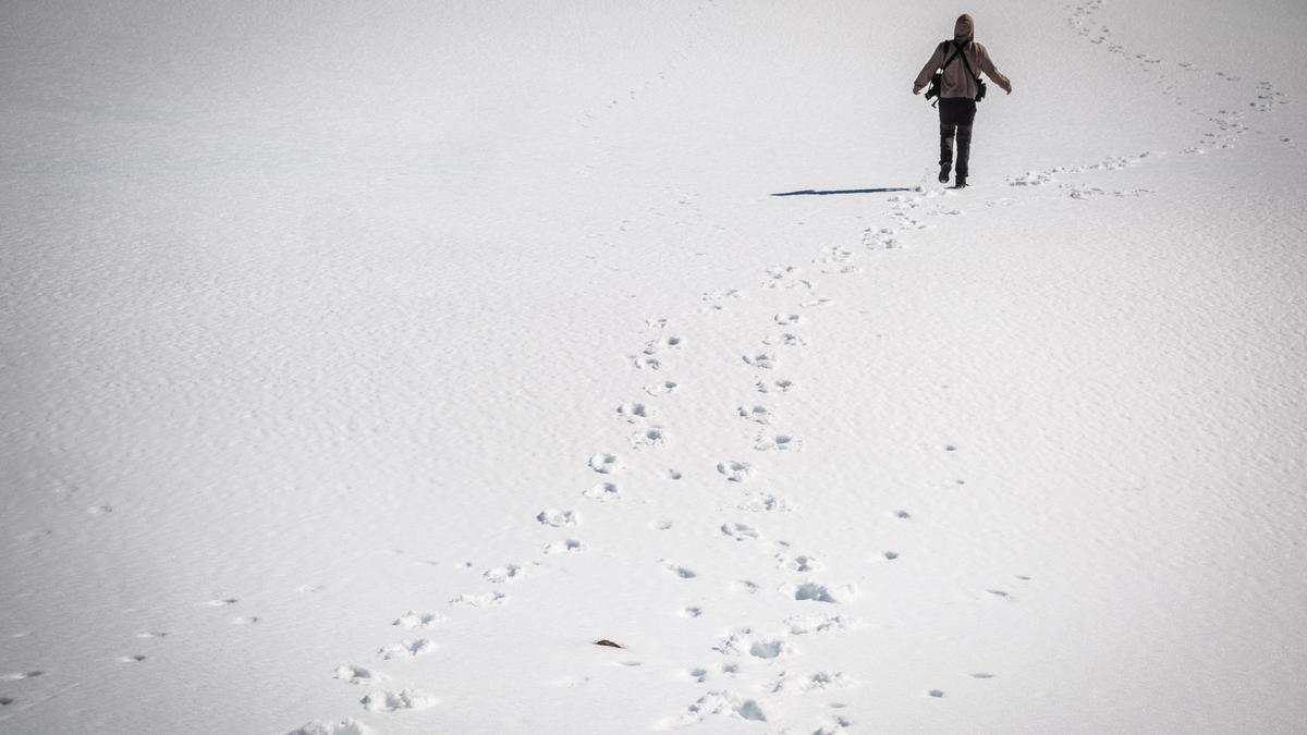 NIEVE TEIDE TENERIFE TEMPORAL | ¿Nevará en Tenerife con el nuevo temporal?