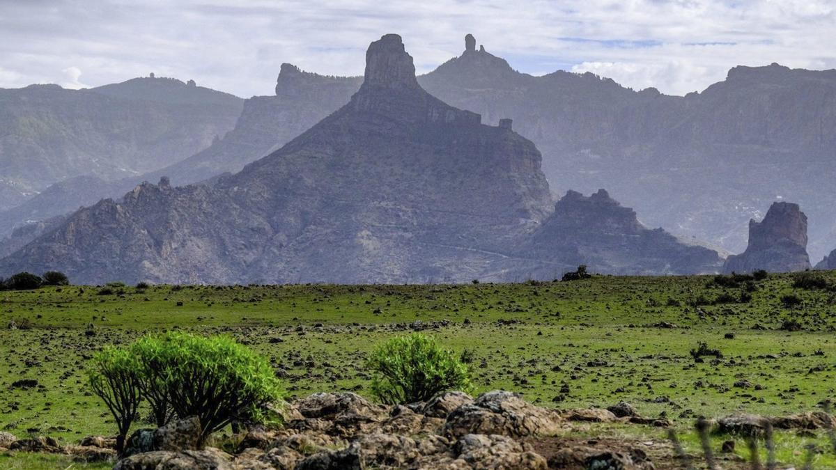 TEJEDA FINALISTA CONCURSO FERRERO ROCHER : Tejeda, finalista de la ...