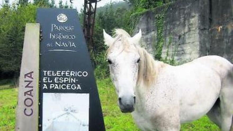 Coaña descubre sus tesoros - La Nueva España