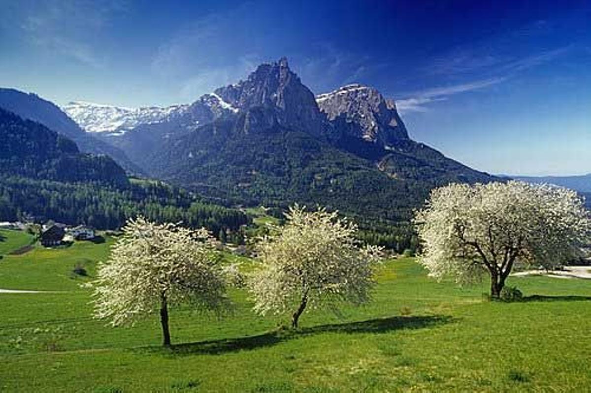 Viaje hasta el Tirol italiano - Viajar