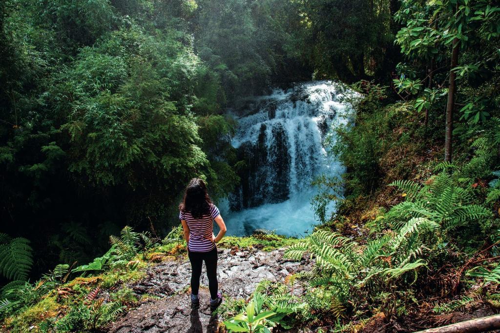 Región de los Lagos chilena, una ruta por su desbordante naturaleza - Viajar