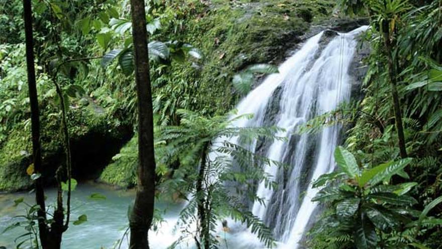 Guadalupe verde y natural - Viajar