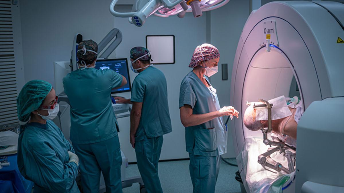 Un estudio del MIT y Harvard descubre cómo la mutación genética de ...