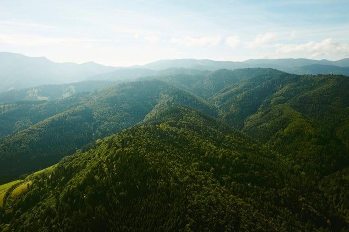 Descubriendo la Selva Negra - Viajar