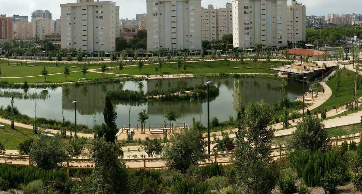 ¿Qué son las 'ciudades esponja', ideadas para luchar contra las inundaciones?