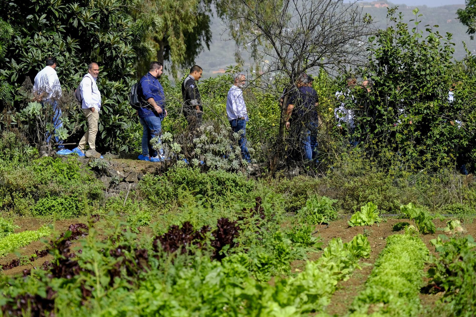 Visita a Ecohuerta Canaria