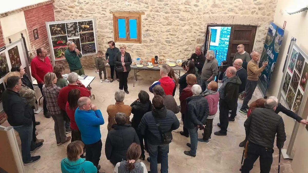 Bejís inaugura una muestra sobre las plantas del río Palancia