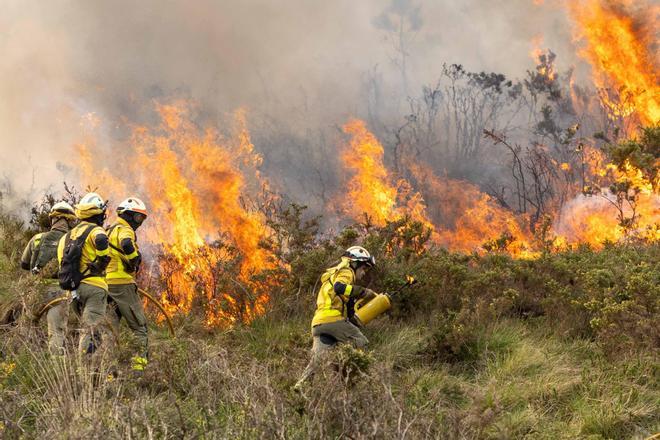 El fuego, un aliado en la prevención de las llamas: Reduce la carga y ...