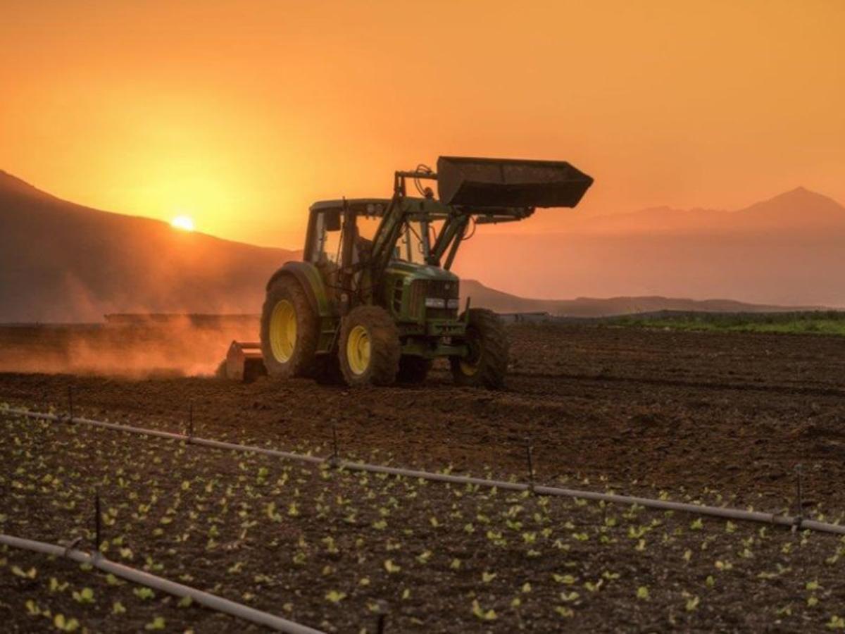 Objetivos más allá de la PAC: precios justos, bienestar animal y comercio