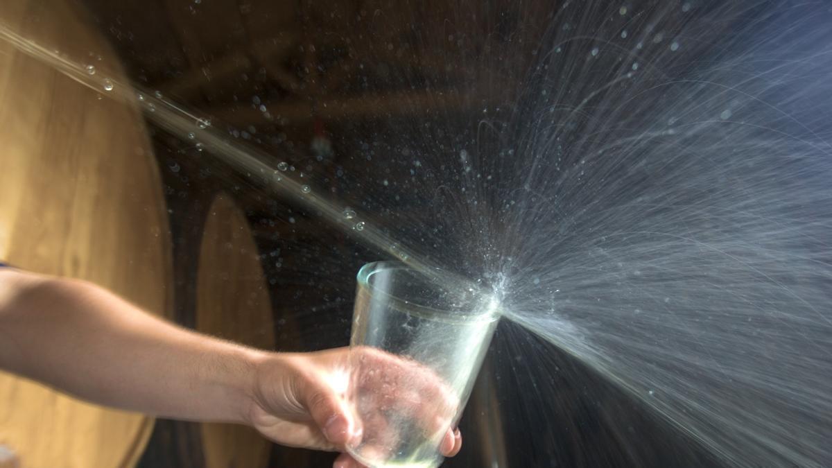 Los Óscar de la sidra asturiana: la DOP corona a los mejores "palos ...