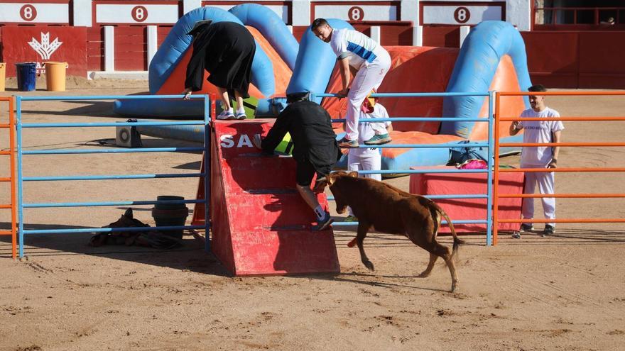 Grand Prix en la plaza de toros de Zamora
