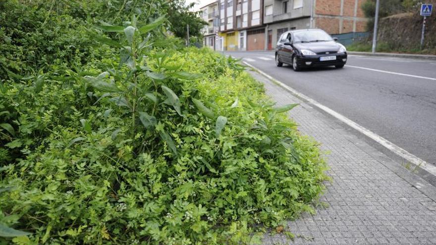 Feísmo en el paseo: aceras para pasar de puntillas