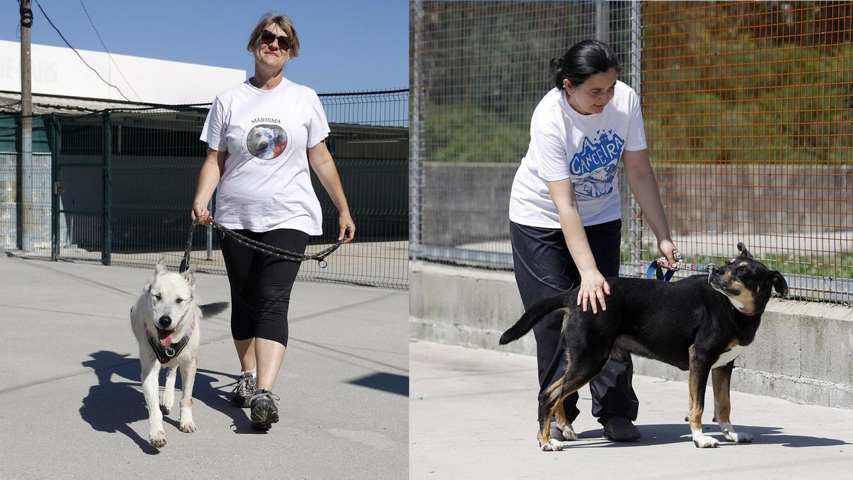 Una campaña en favor de los decanos Marisma y Hans