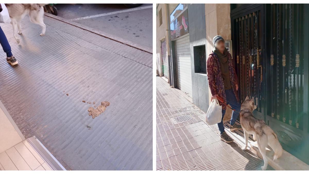 Amenazado en Castelló por pedir que limpie la caca de su perro: "Me ...