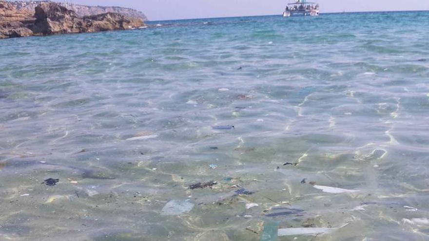 La playa Maioris se llena de basura - Diario de Mallorca