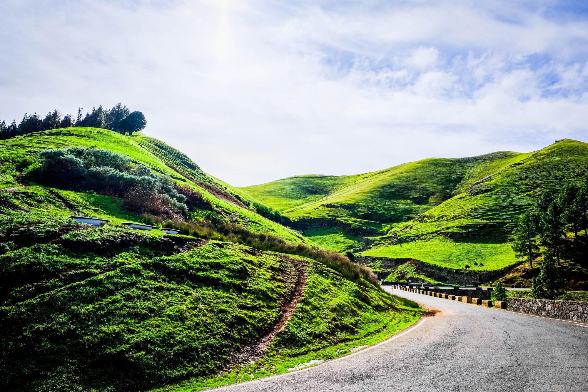 Gran Canaria: Isla Verde