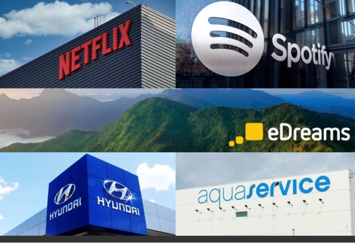 Las empresas de suscripción que triunfan en España: un repaso al éxito ...