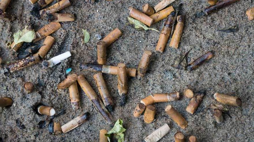 Esto es lo que tardan en descomponerse productos que usas a diario