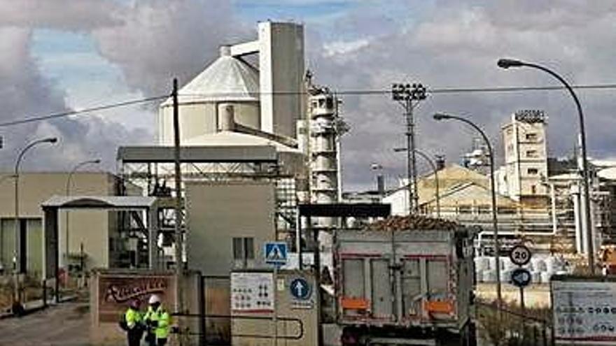 Azucarera abonará de media 4.118 euros por hectárea de remolacha ...