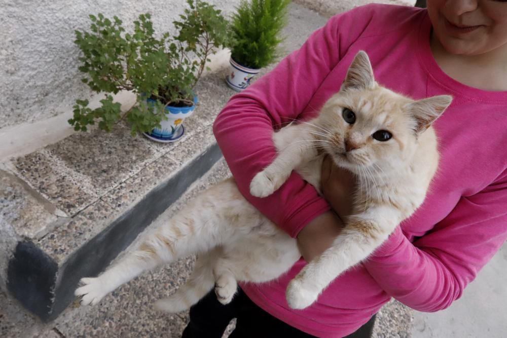 Hogar Leyva, motor para la inclusión en Murcia - La Opinión de Murcia