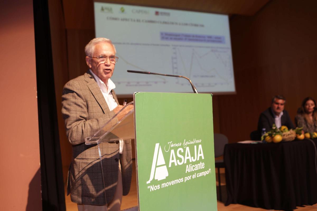 La Vega Baja se convierte en un campo de experimentos para adaptar los ...