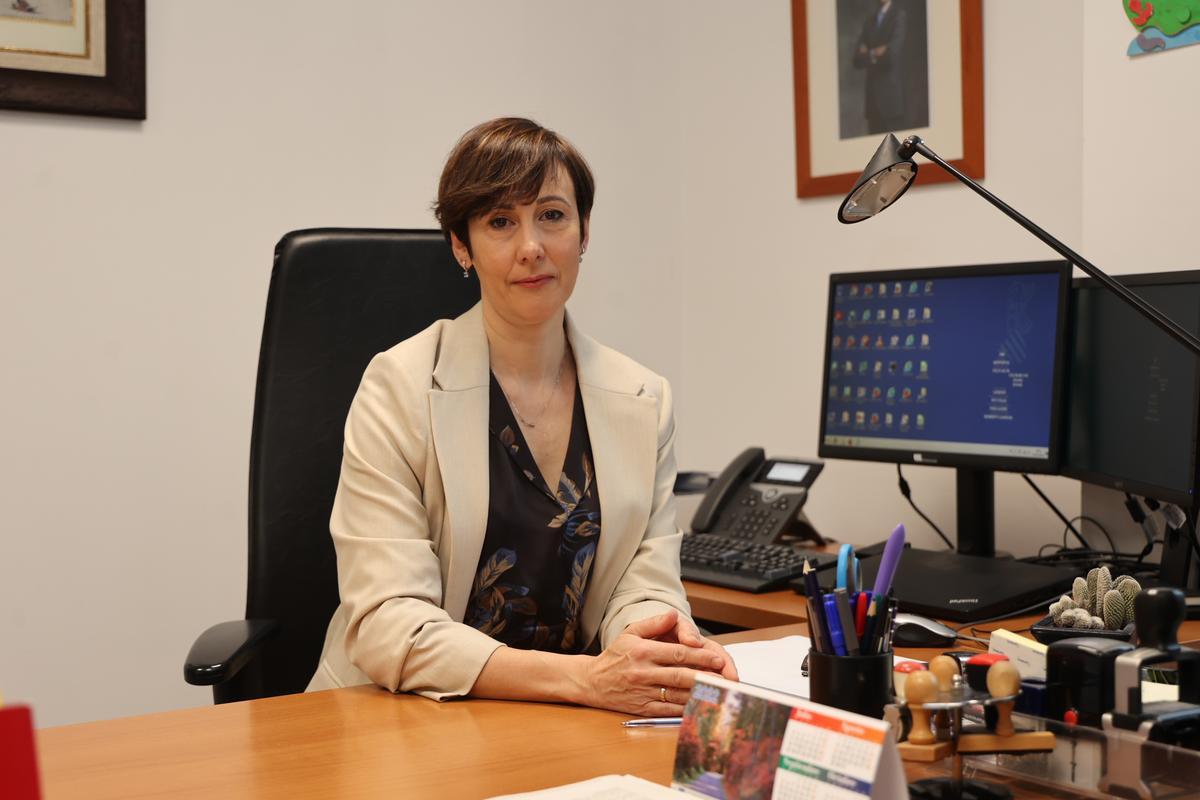 «Hay un aumento del acoso a la mujer a través del móvil en Castellón»