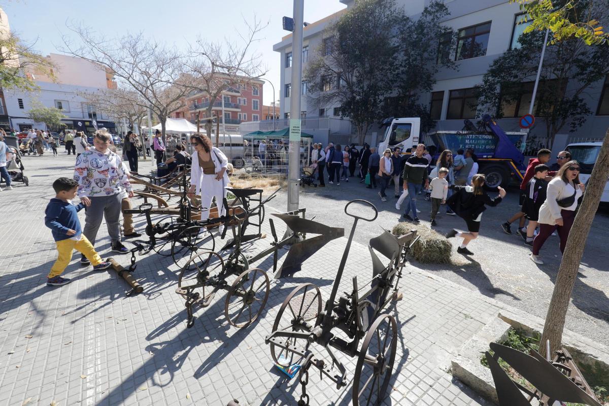 FOTOS | Multitudinaria Fira de Son Ferriol - Diario de Mallorca