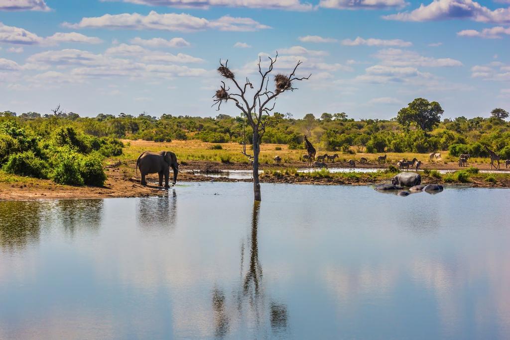 Conoce los escenarios reales de El Rey León - Viajar