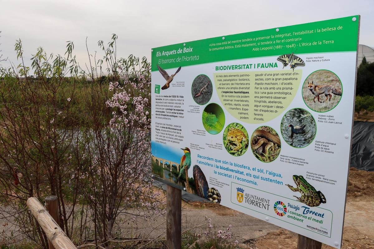 TORRENT: Torrent limpia y pone en valor el acueducto de “Els Arquets de Dalt”