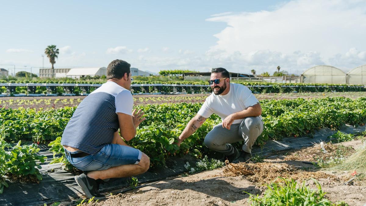 CHEF ESTRELLA MICHELIN | La Huerta del prestigioso restaurante 'El ...