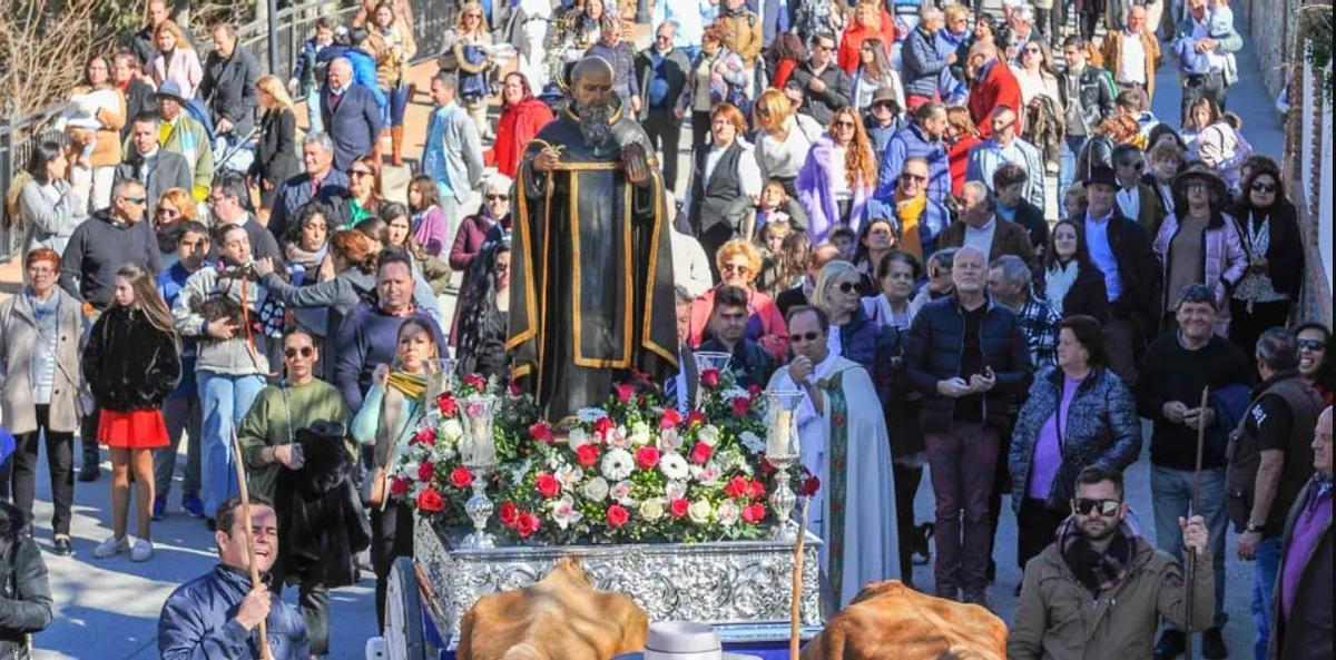 San Antón en Málaga | San Antón marca el gran día de los animales por ...
