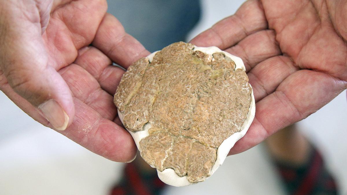 José Gibert, el hombre que situó a Orce en el mundo