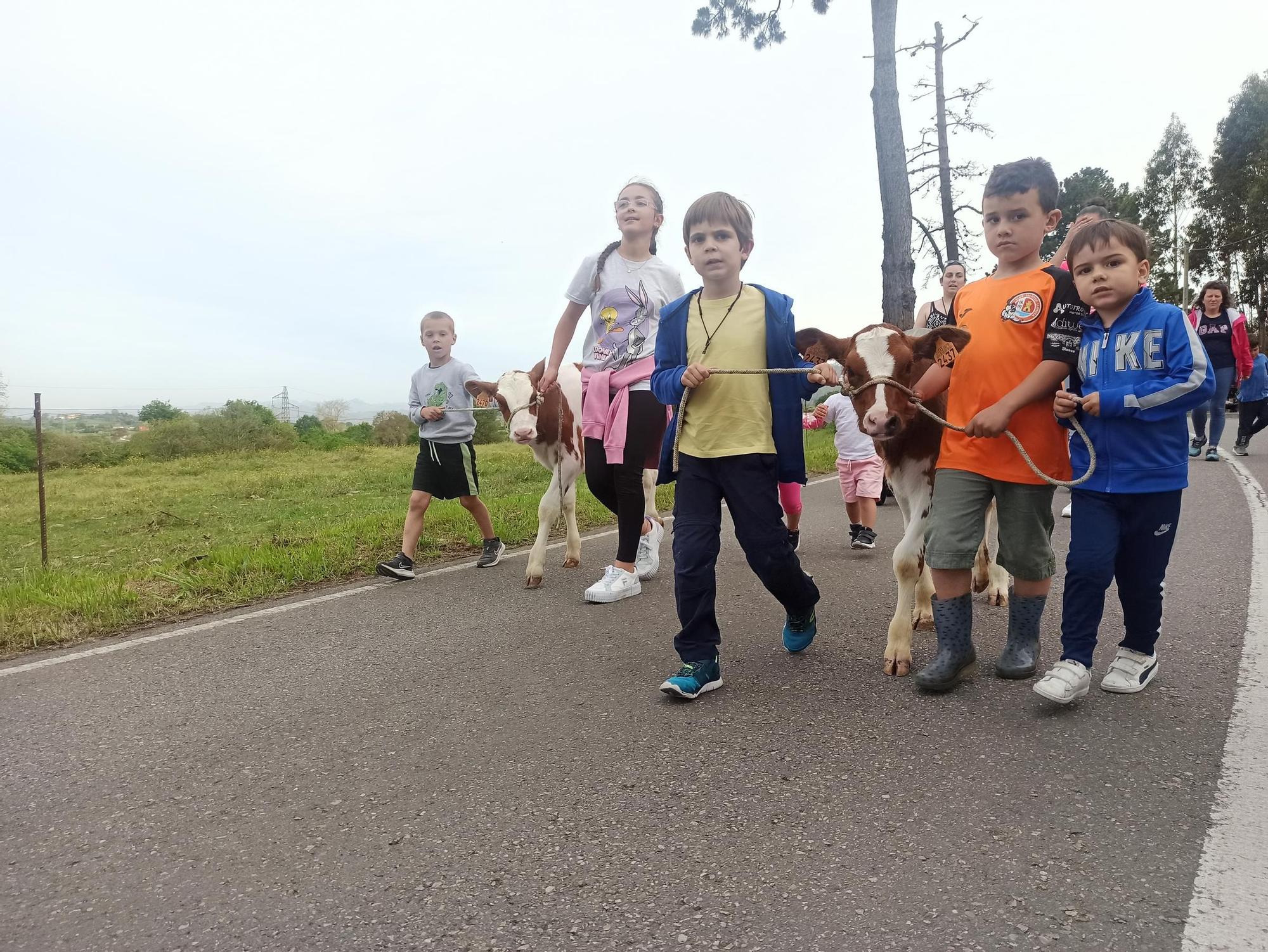 Llanera, pasión por la ganadería desde la cuna