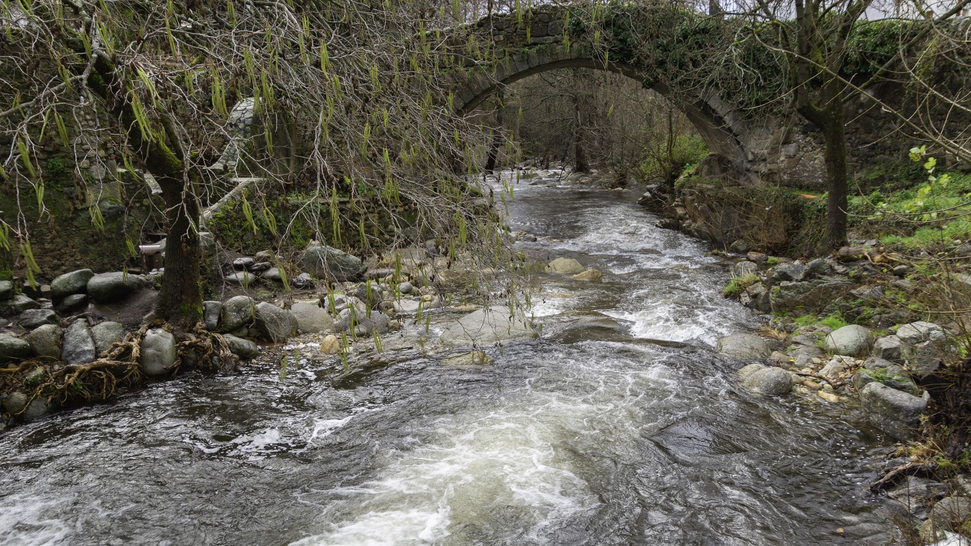 Fotogalería | Mañana de niebla en el norte de Cáceres - El Periódico ...