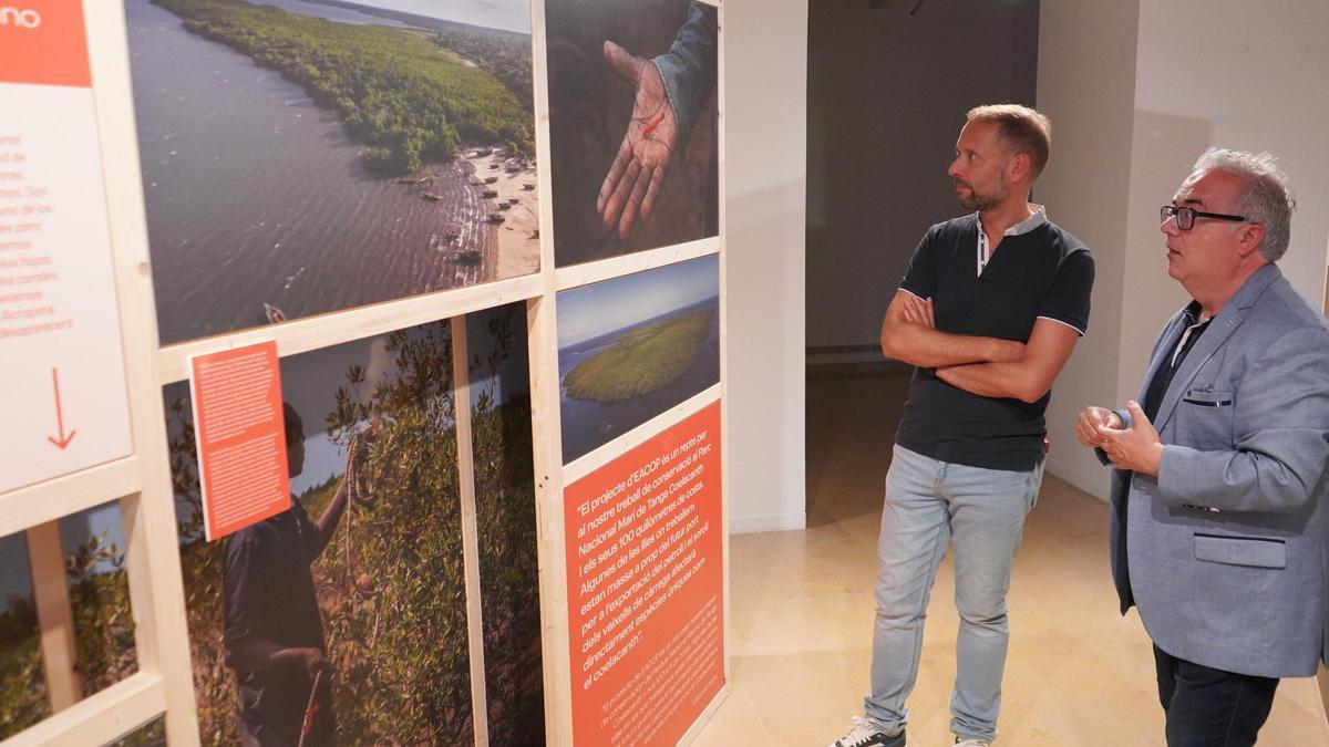 Exposición | La Casa de Cultura de Ontinyent acoge una exposición sobre ...