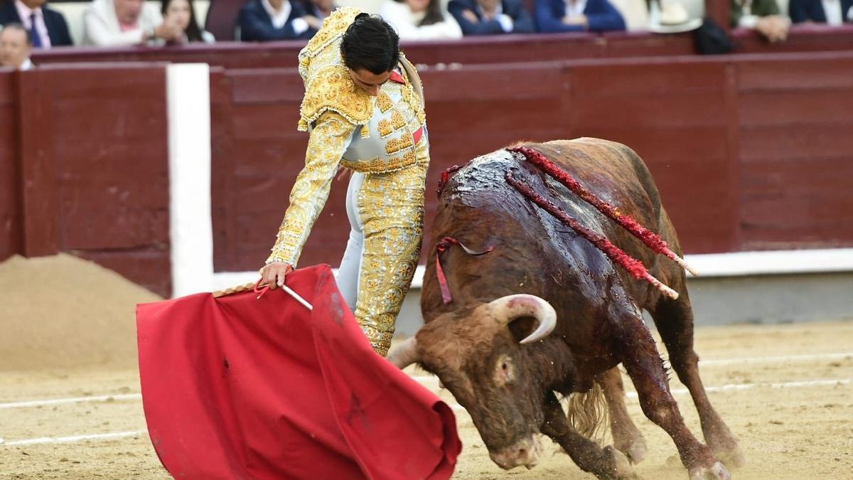 El Mene Toros | Vuelta al ruedo para el Mene ante una novillada de ...