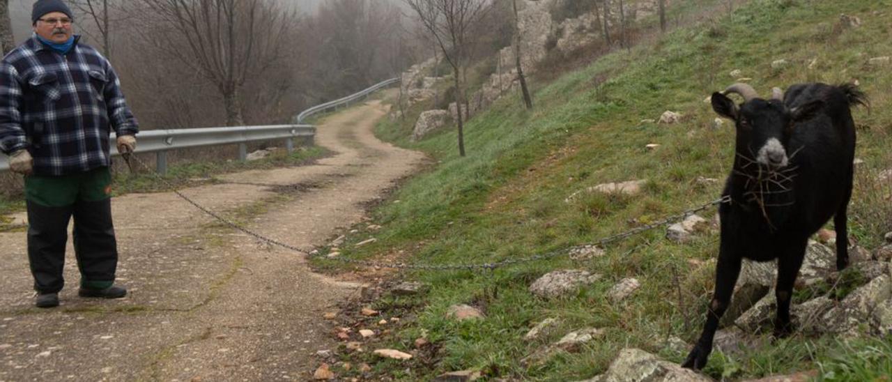 REGALO ZAMORA CARRETERA | El regalo de Navidad para ocho vecinos de ...