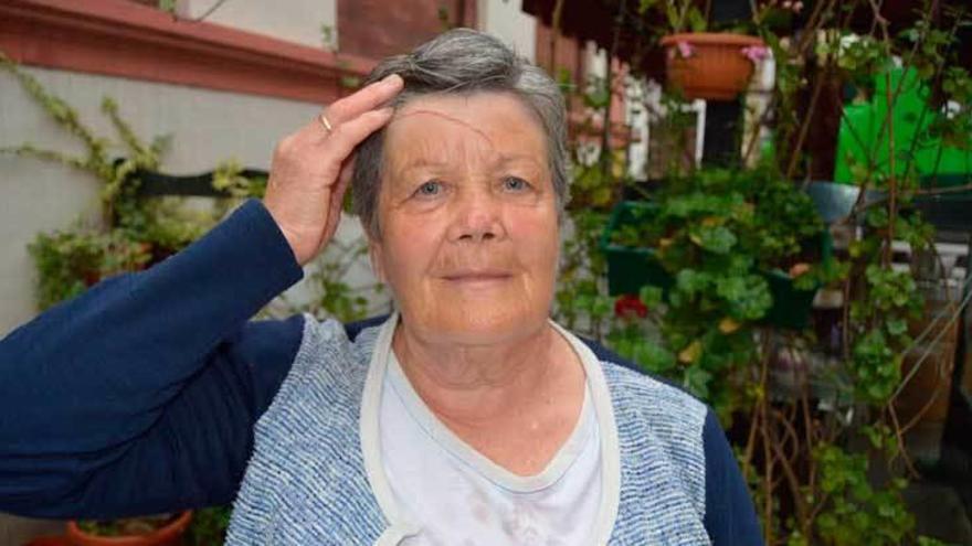 Los guardas "capturarán" al águila que atacó a una maliayesa en Cazanes