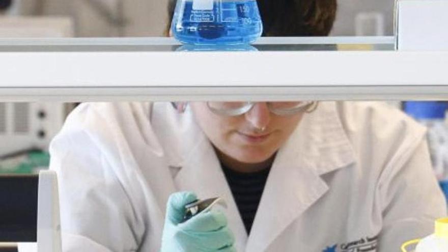 El guardià silenciós que patrulla l’organisme