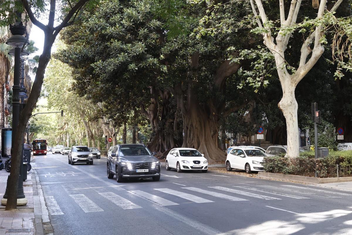 Valencia | "Que no, que hoy no hay que pagar el autobús"